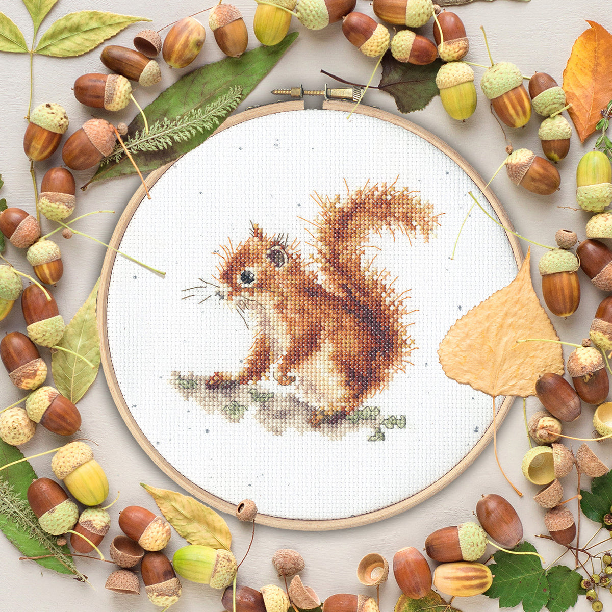 Acorns XHD116 Counted Cross Stitch Kit — cshobby